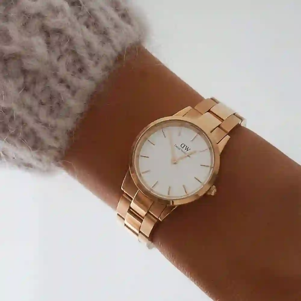 Quartz Wristwatch/DW00100211 | Time.ge